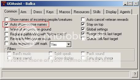 Open Corpse Macro | Stratics Community Forums