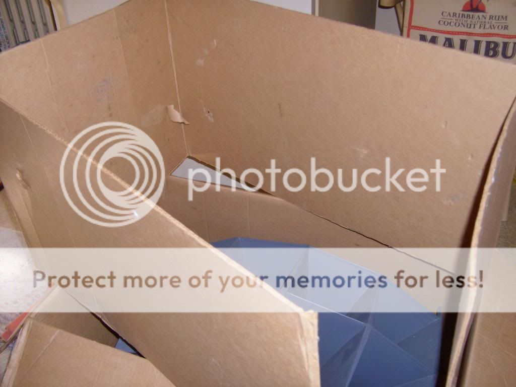 How to ship large multicellular horns?