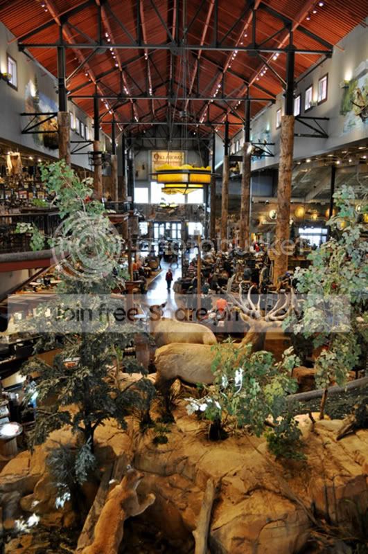 Only 24 Hours From Tulsa - Metro Tulsa | DIS Disney Discussion Forums